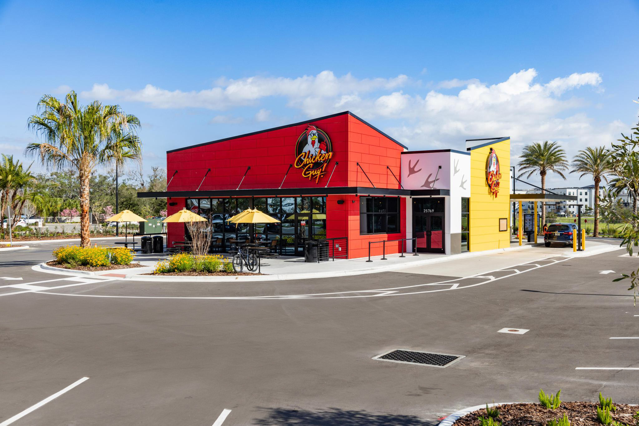 Chicken Guy! – api(+)